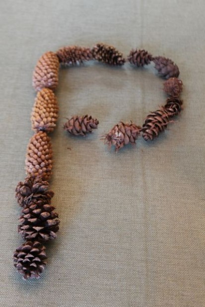 P is for Pinecone Preschool Activities and Crafts - Happy and Blessed Home