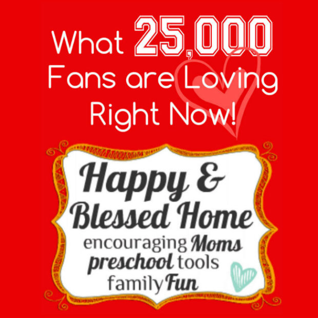 What 25,000 Fans are Loving Right Now! - Happy and Blessed Home